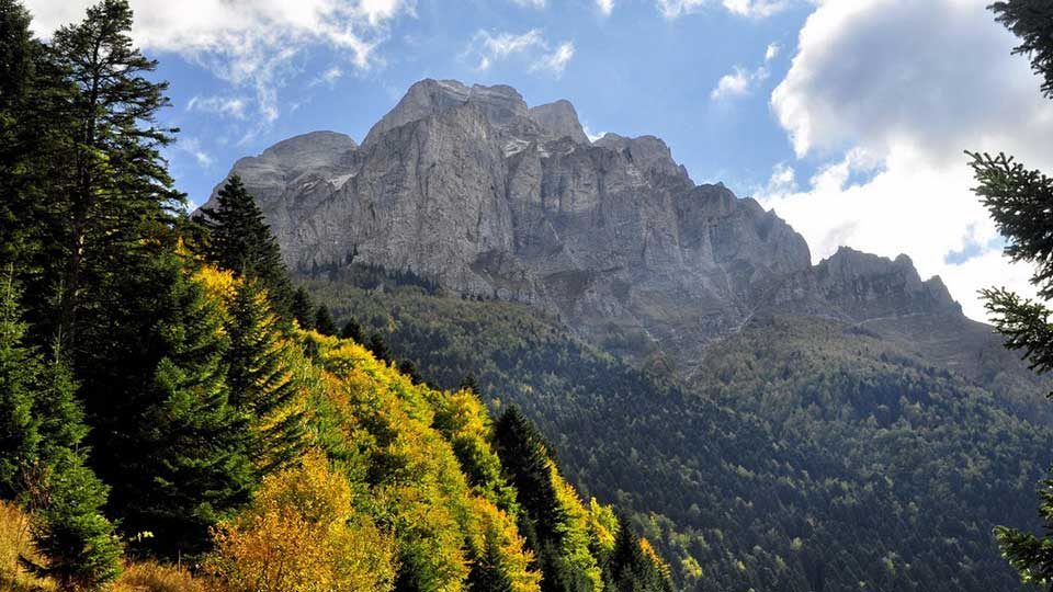 ЦУК: Гори шума на непристапен терен над Теарце во Националниот парк ...