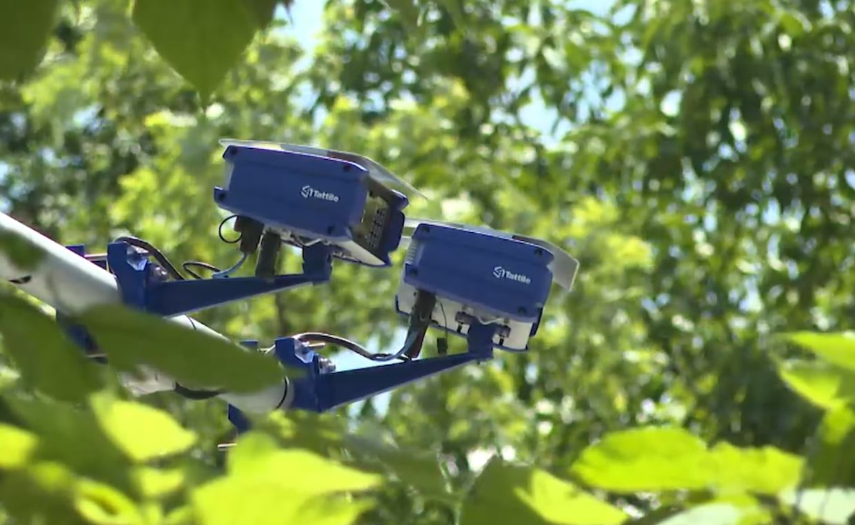 (ВИДЕО) Зошто нови камери на булеварите низ Скопје ако не може да се ...