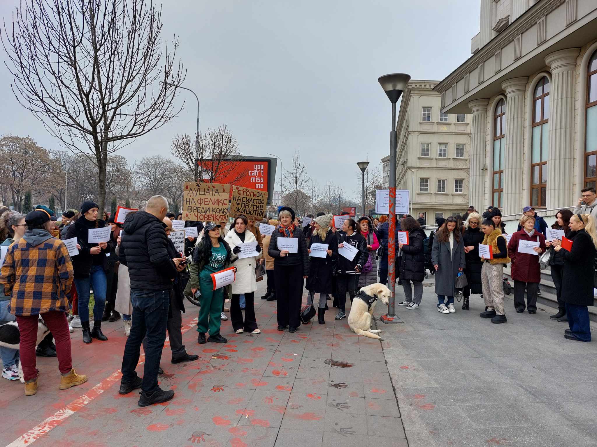 (ФОТО+ВИДЕО) „Мачењето животни е кривично дело“ – активисти побараа затвор за тепачот на кучето ...