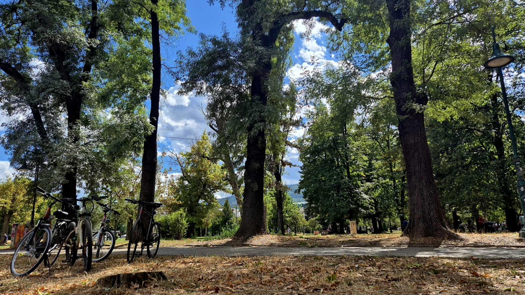 Сончево и топло време, температурата ќе достигне 32 степени - 360 степени