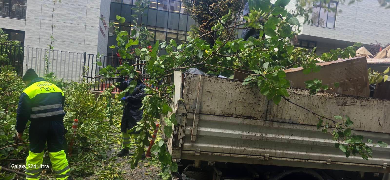 (ФОТО) Паднати дрвја покрај училиштето „Киро Глигоров“, улицата е ...