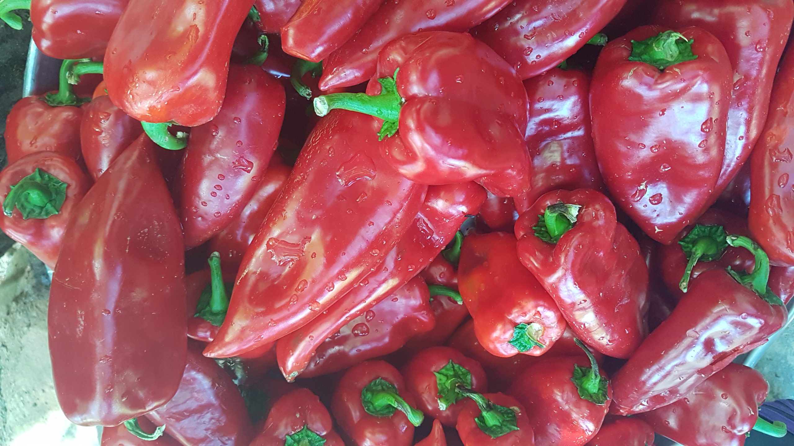 СДСМ обвинува дека откупот на ајварката е застанат и оти цената е ...